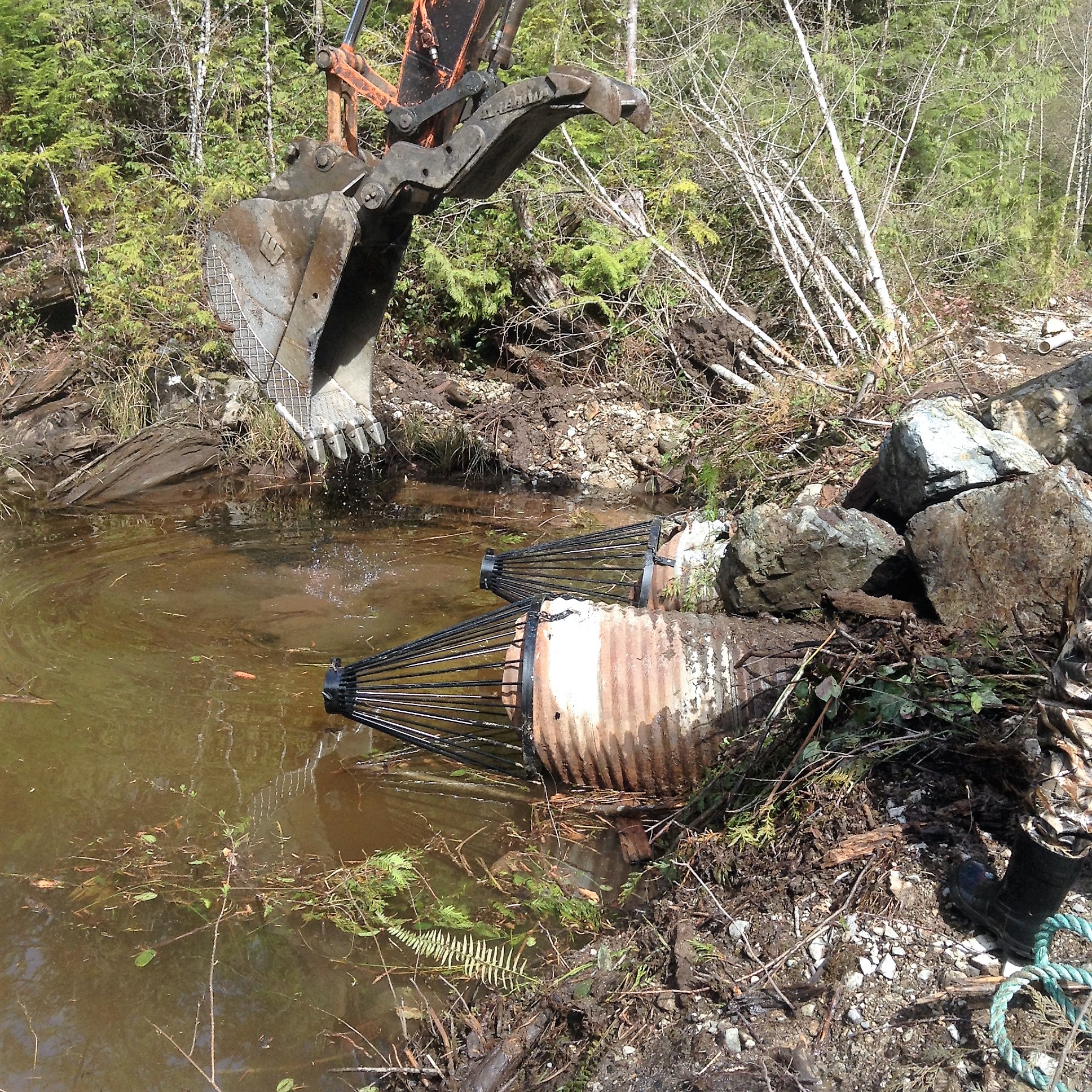 Project Management | Meridian Forest Services